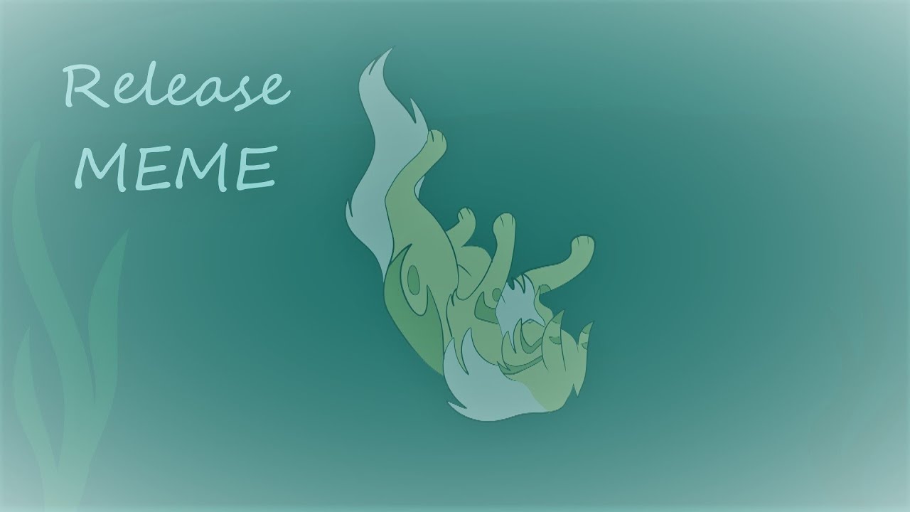 Release: MEME - YouTube