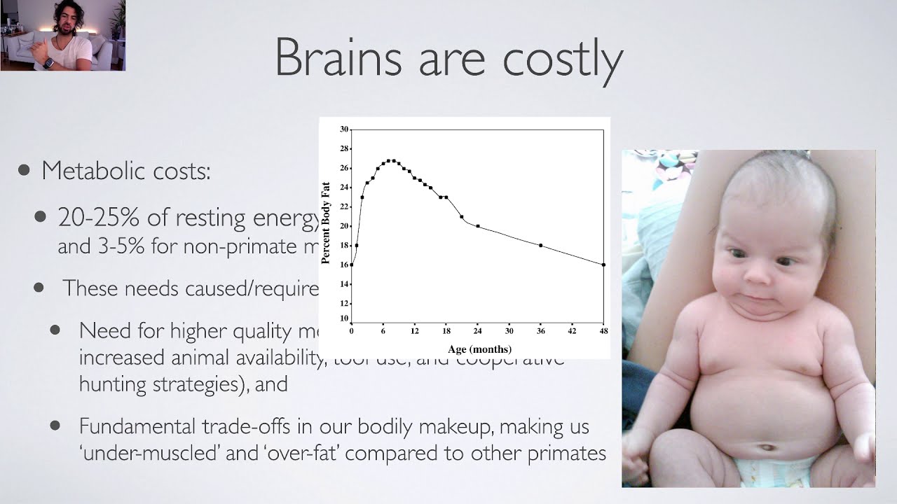 Lecture 6.1: The Social Brain Hypothesis: Intelligence is for ...