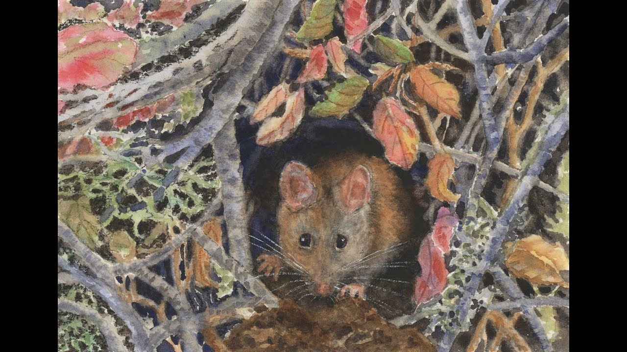 Language of the Land: Secrets of the Oak Woodlands - YouTube