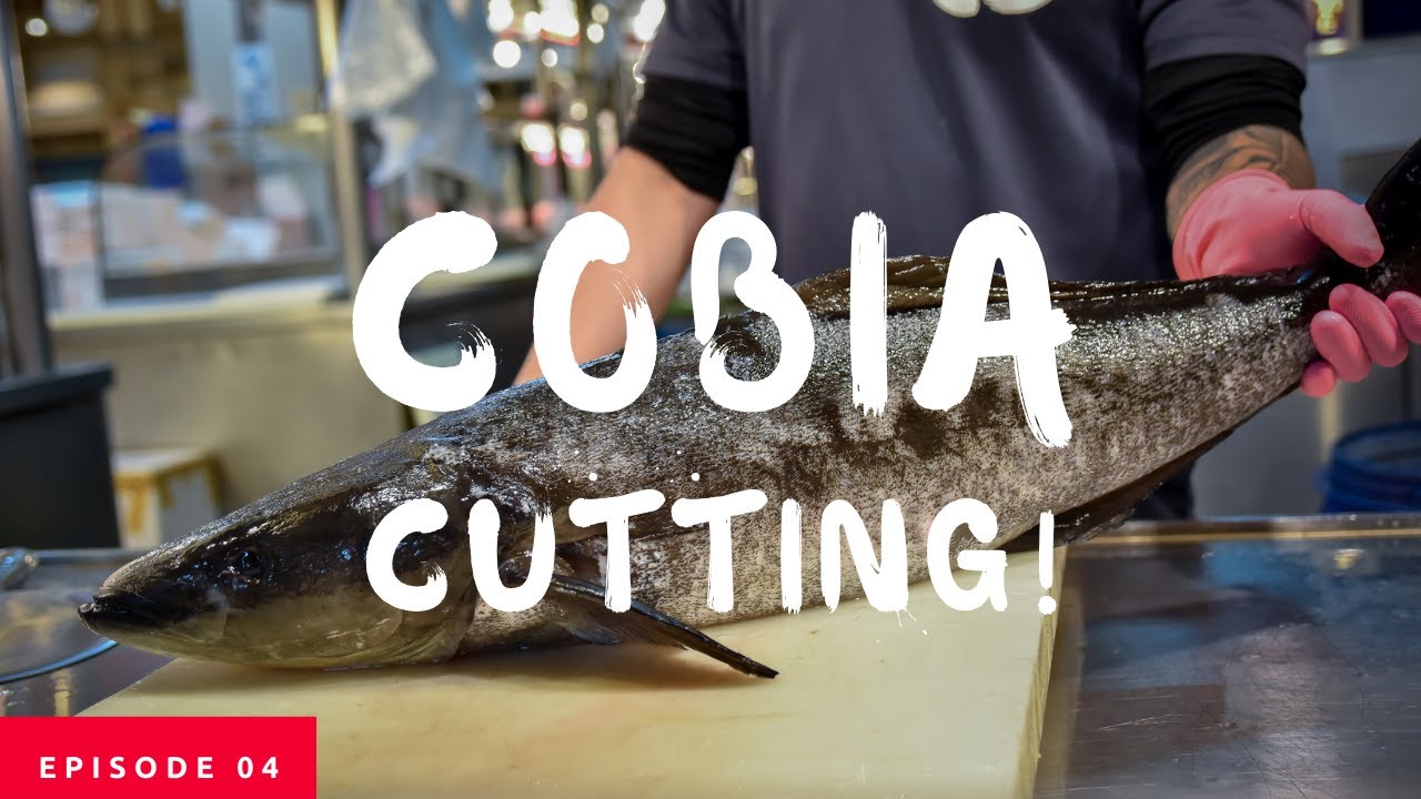 Teach you how to Fillet a Cobia fish,Sashimi,海鱺魚切割技能,Taiwanese Street ...