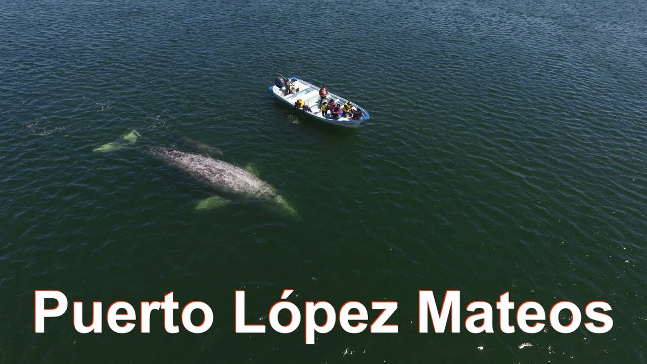 Puerto López Mateos Baja California Sur México - YouTube