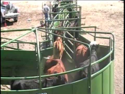 Powder River Double Alley - YouTube