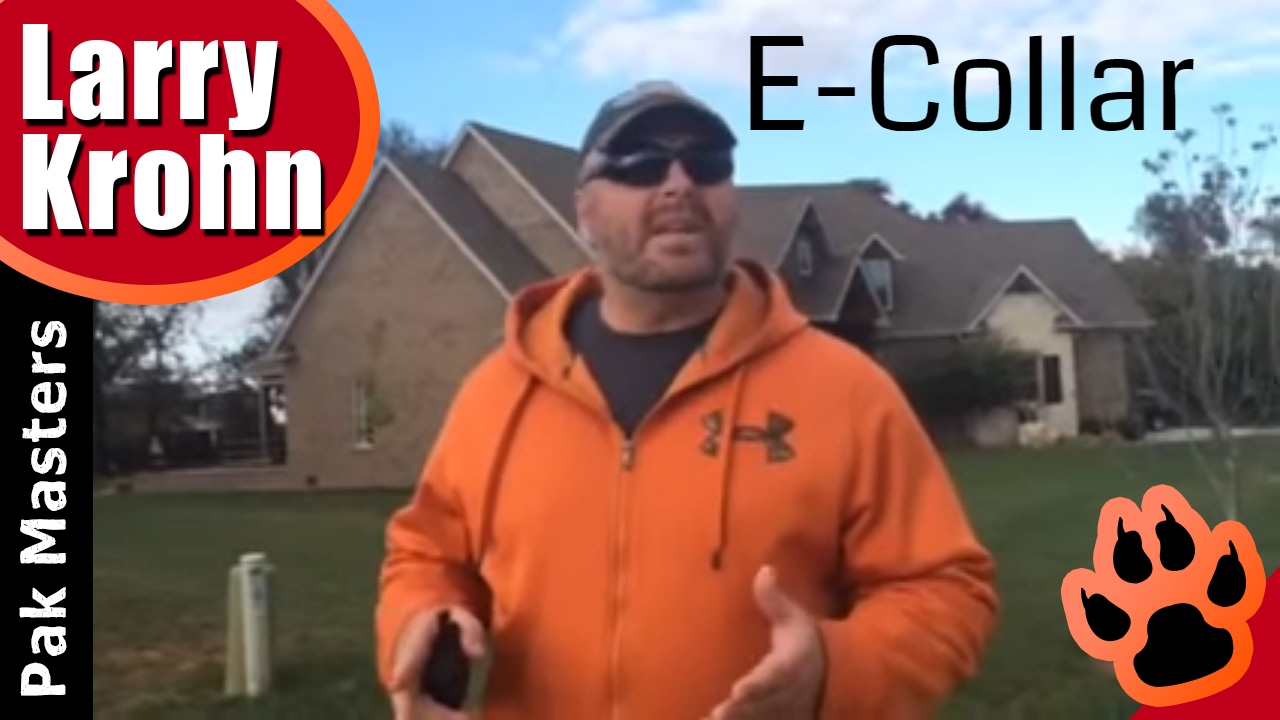 Advanced E-Collar (Electronic Collar/Remote Collar) Helping Dogs ...