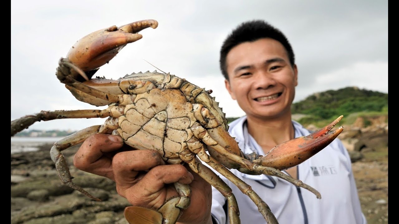 A Feng caught the crab king under a boulder.阿烽从巨石下抓到一只蟹王，又抓到一只蟹后，这也太罕见了 ...
