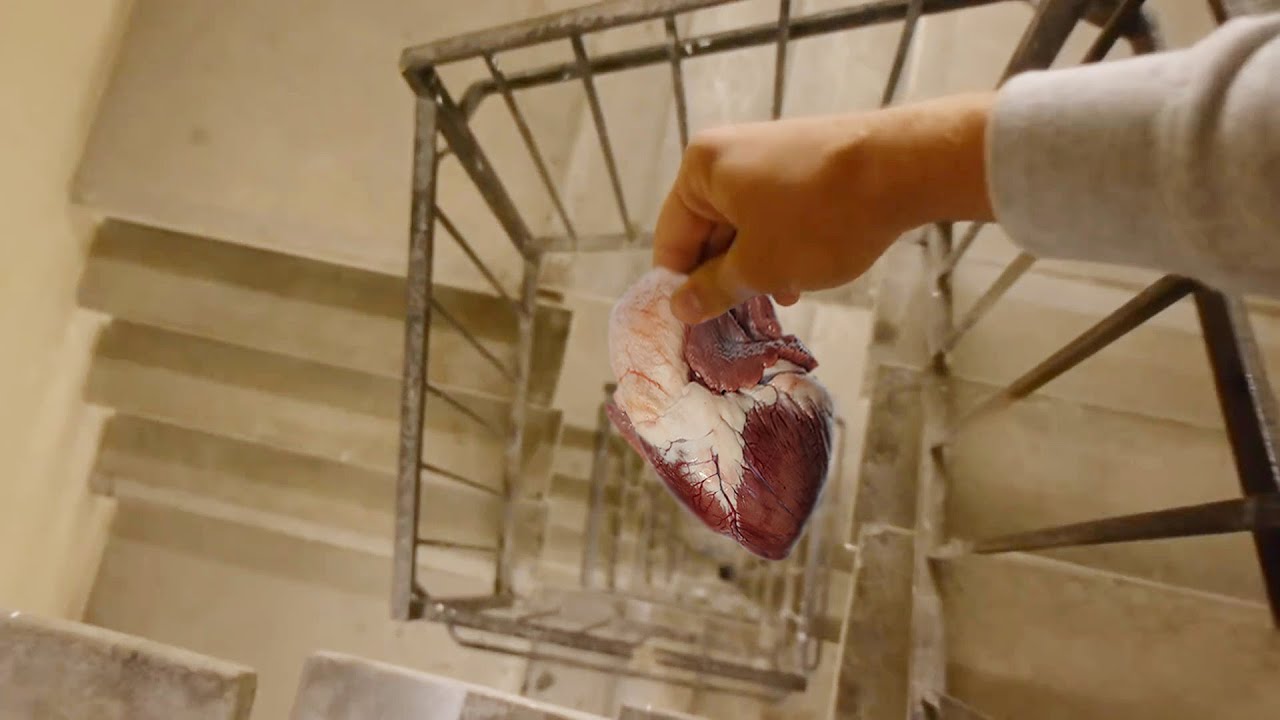 Dropping Real Heart Experiment !!! - YouTube