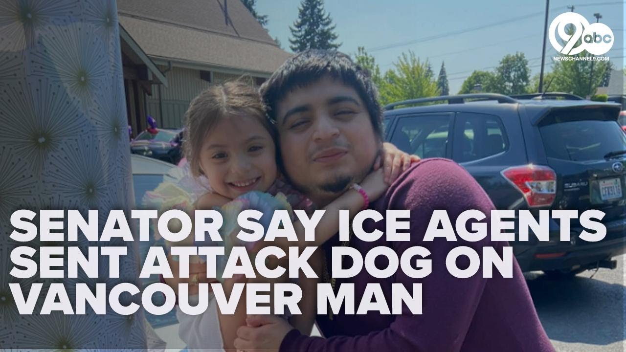 US senator says ICE agents 'sic attack dogs' on Vancouver man - YouTube