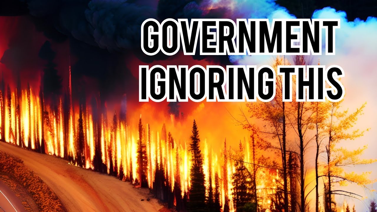 Canada burns to the ground , and governments ignore it, ny smoke update, Arson is happening ...
