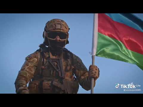 noldu pasik