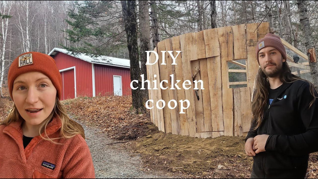 We Built a Palace for our Chickens / DIY Chicken Coop Build - YouTube