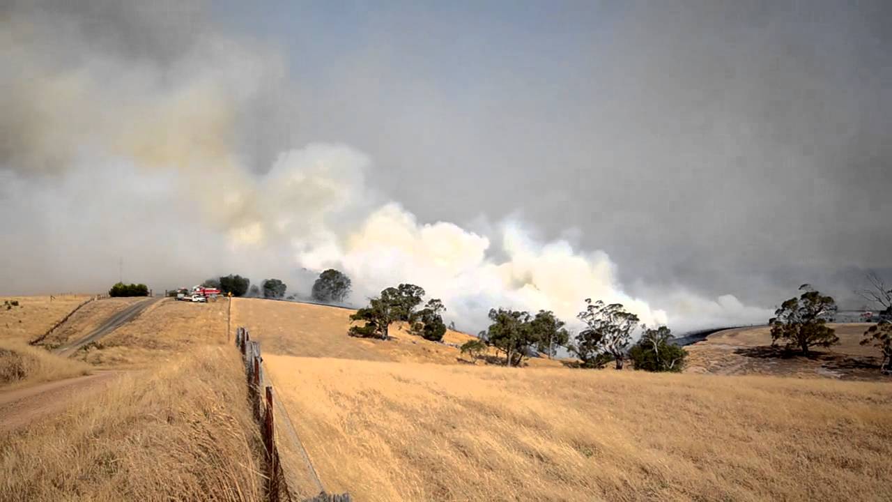 Springfield Bushfire 2014 - YouTube
