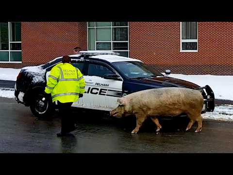 Cringiest Winter Fails Ever | Winter Wipeouts 2026