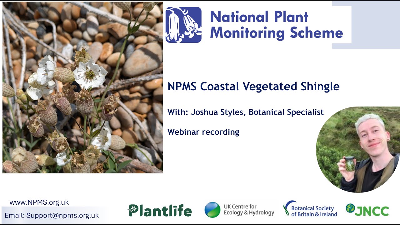 NPMS: Coastal vegetated shingle - webinar recording - YouTube
