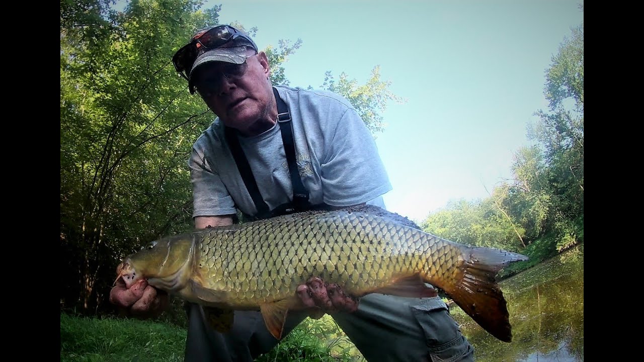 Carp Mafia Adventures on Ole Muddy! - YouTube