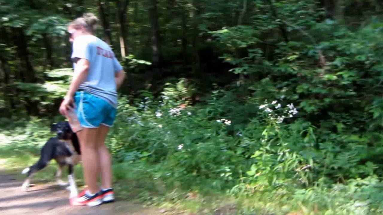 Copy of Mahoning Shadow Trail in Punxsutawney, PA. August 2016. - YouTube