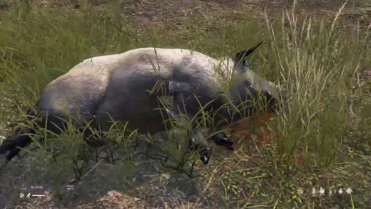 DayZ 1.02 - wild boar - YouTube