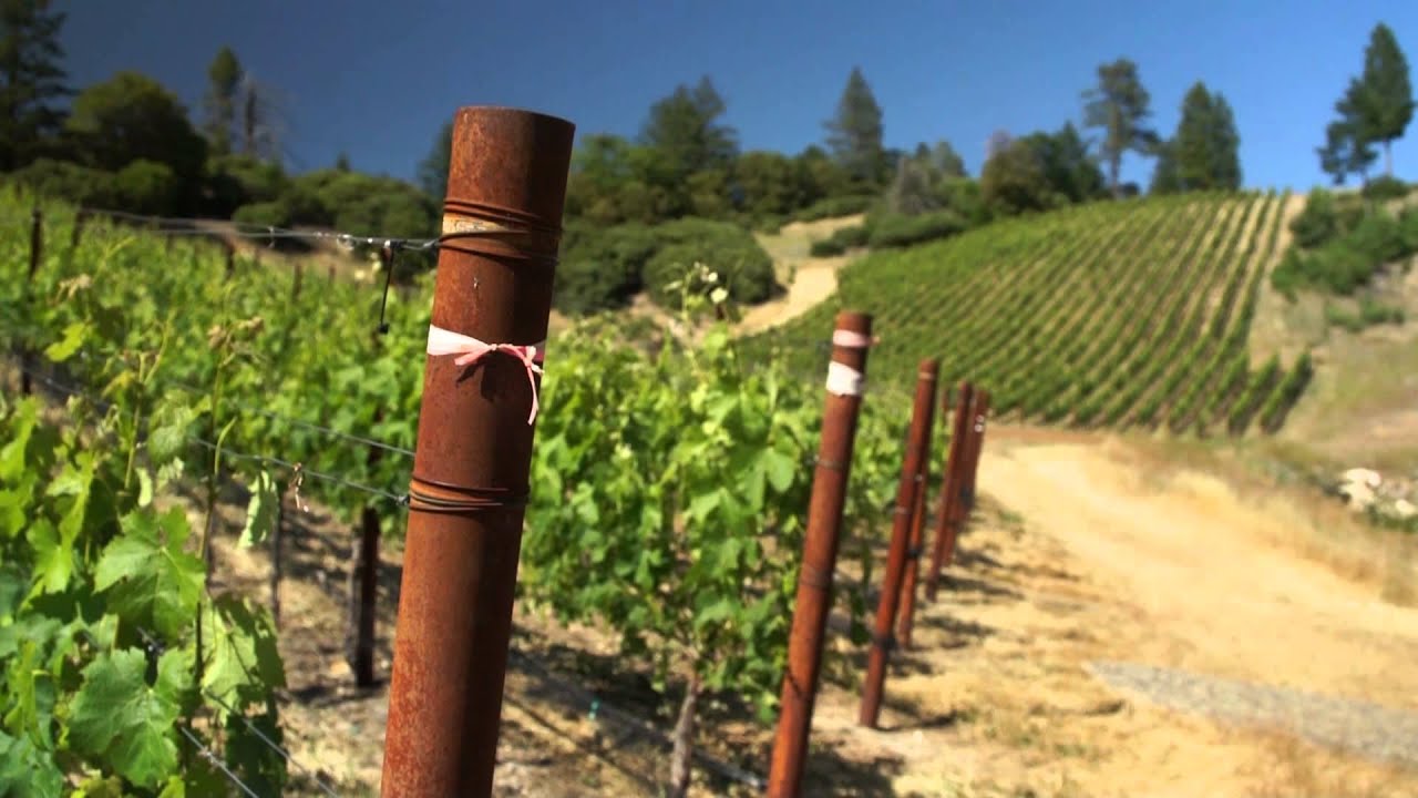Melka Wines La Mekerra Vineyard - YouTube