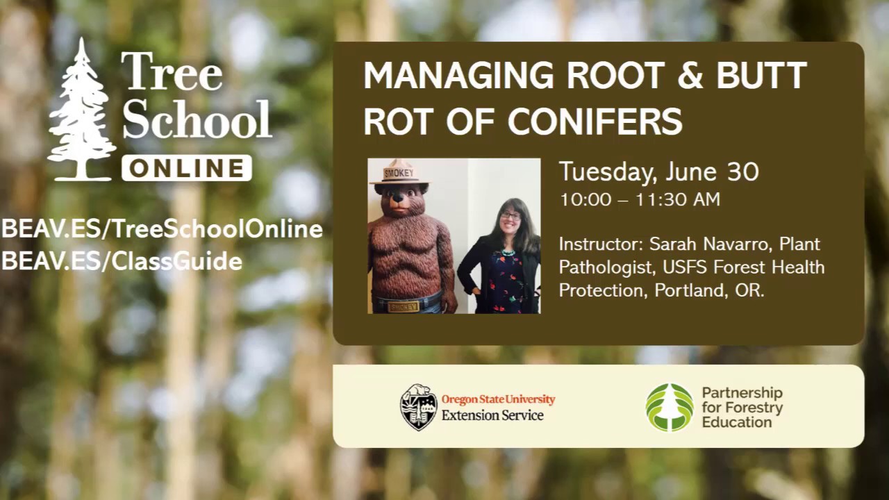 Tree School Online: Managing Root and Butt Rot in Conifers - YouTube