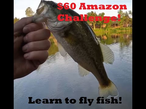 How to fly fish for under $60! Budget Amazon fly challenge! - YouTube