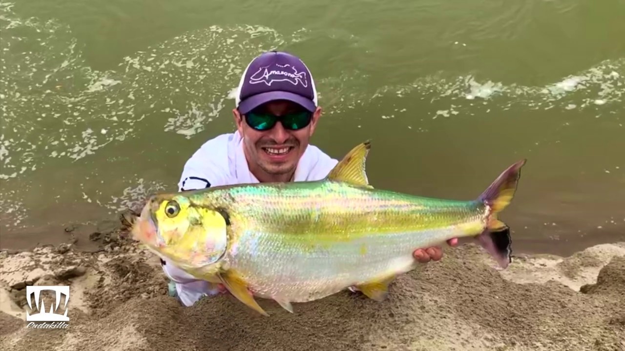 Sardinata Fishing on the Guaviara River, Colombia - YouTube