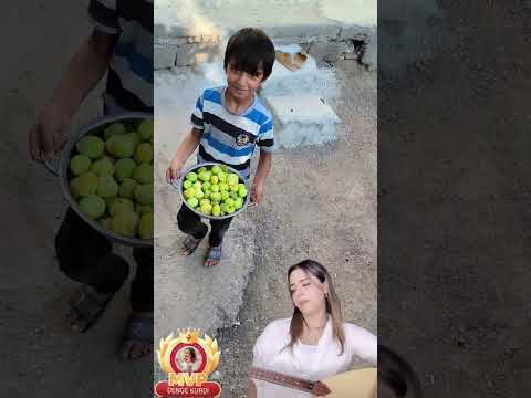 reşşe heval Harun harunemın westiyayê Kürtçe müzik