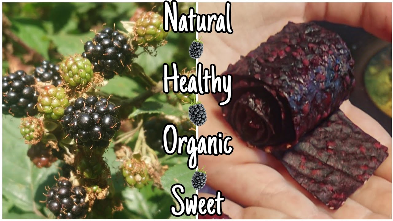 How To Make Fruit Leather 💜Natural Healthy Sweets Made With Fruit 💜 DIY ...