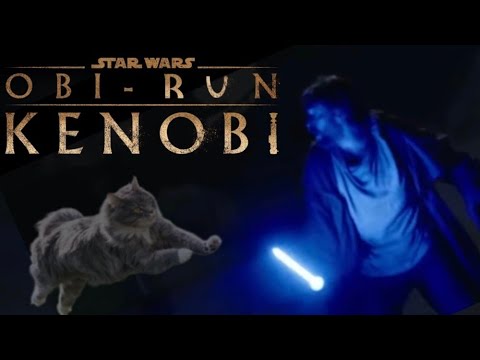 Obi Wan Kenobi vs cats | Tv Shorts - YouTube