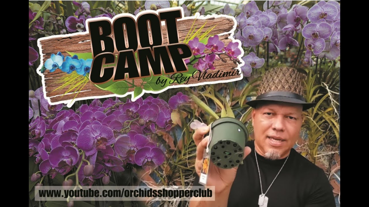 Volvemos con el 2ndo Season de los Boot Camps - YouTube