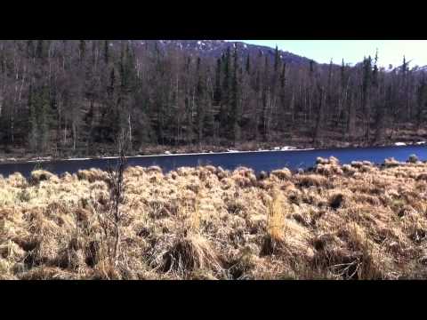 Wolverine Lake Access - YouTube