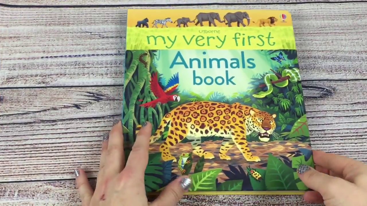 A Look Inside The Usborne My Very First Animal’s Book - YouTube