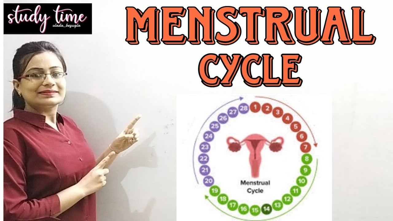 Menstrual Cycle| #reproductive System ICSE & CBSE Class-10 Bio # ...