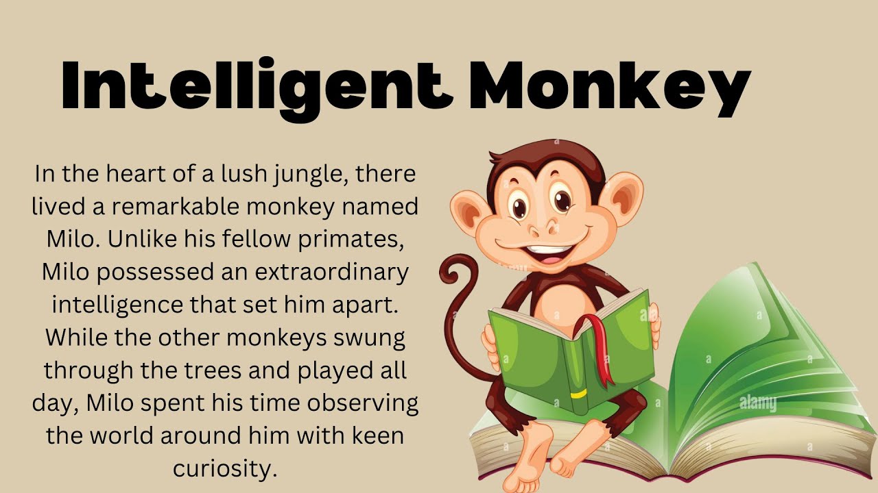 "Intelligent Monkey" |intelligent monkey videos |Learn English Through ...
