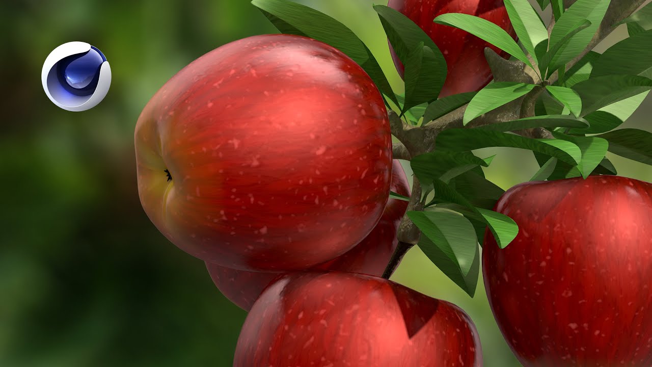 How to create an Apple and a branch Modeling, Materials and Render by ...