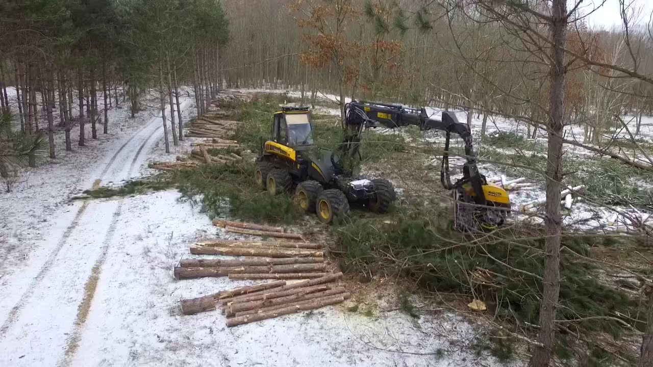 Ponsse cutting red pine. Sky-view - YouTube