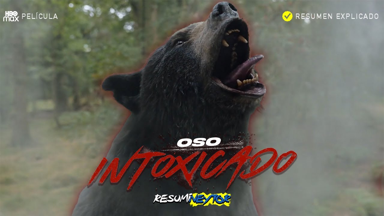 OSO DR0G4D0 AS3S1NA PERSONAS EN EL BOSQUE | Oso Intoxicado (2023 ...