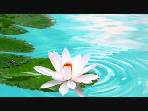 Passive Muscle Relaxation - YouTube