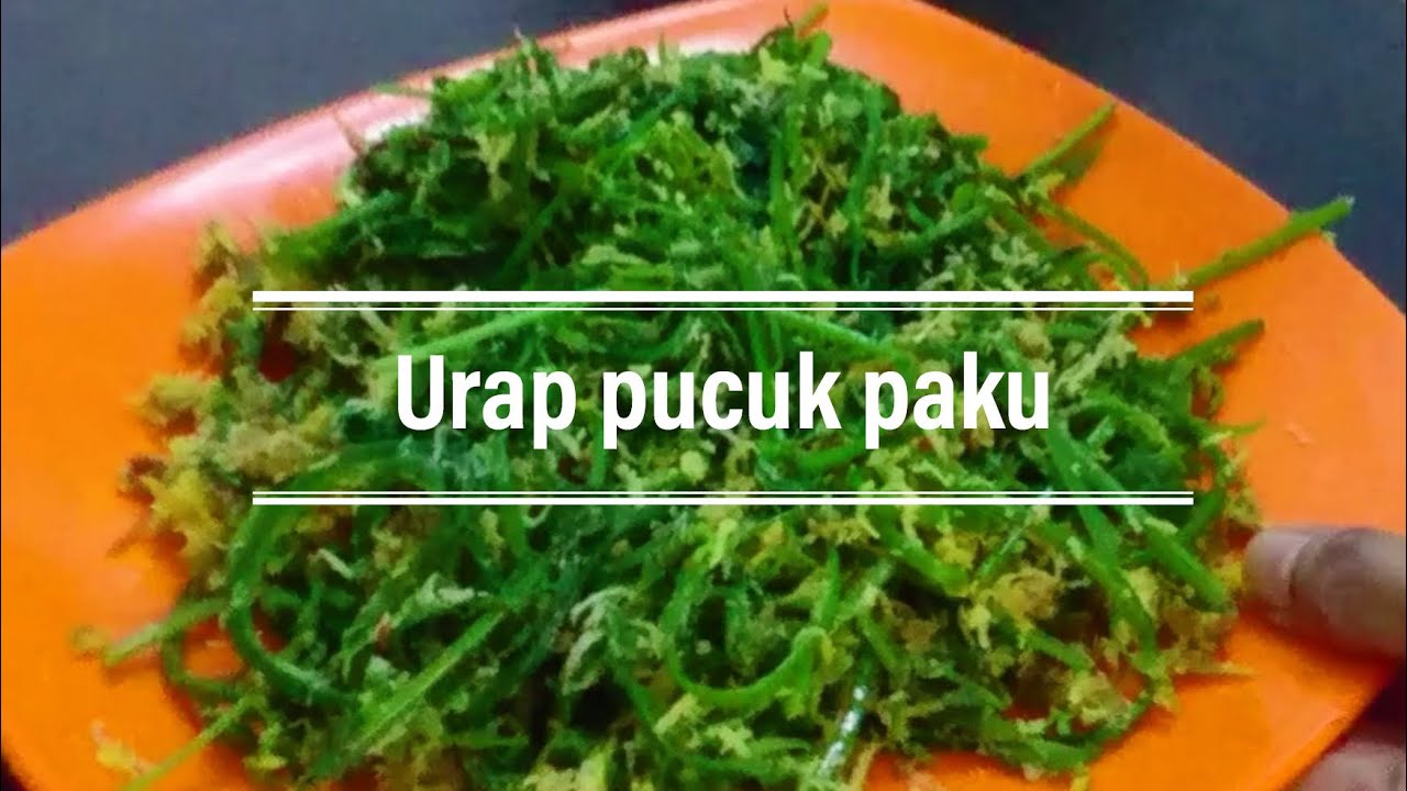 Urap pucuk paku simple dan sedap - YouTube