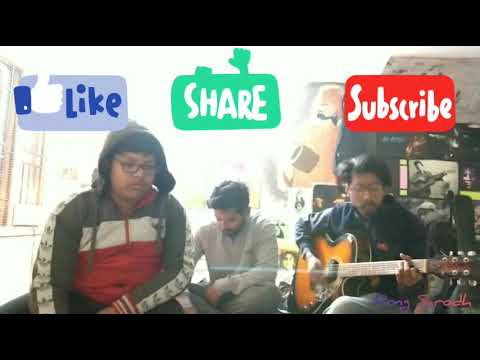 HOLUDH PAKHI || CACTUS || GUITAR COVER || CHATOK || RONG SARODH || POTA ...