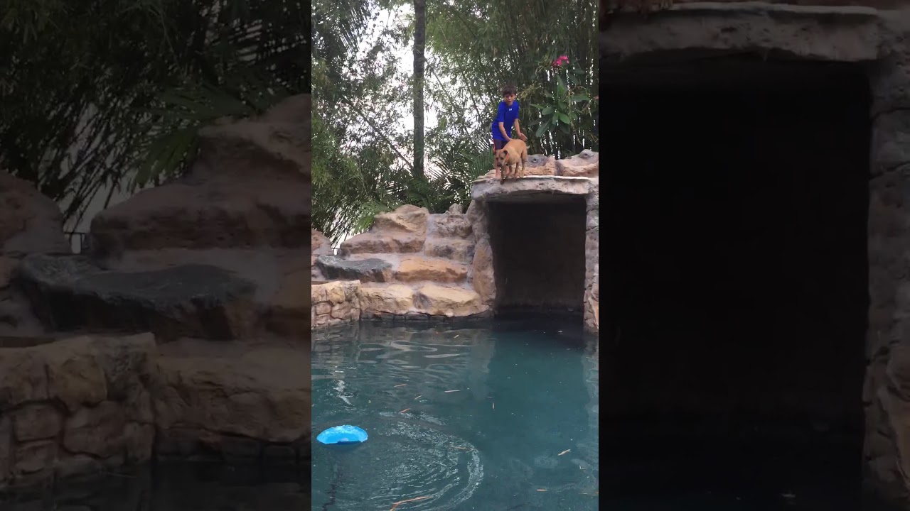 Cooper diving from waterfall - YouTube