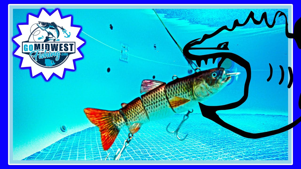 $25 Robotic Lure From Amazon | Does It Work? - YouTube