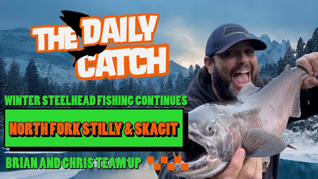 Daily Catch Thursday Feb 13 - YouTube