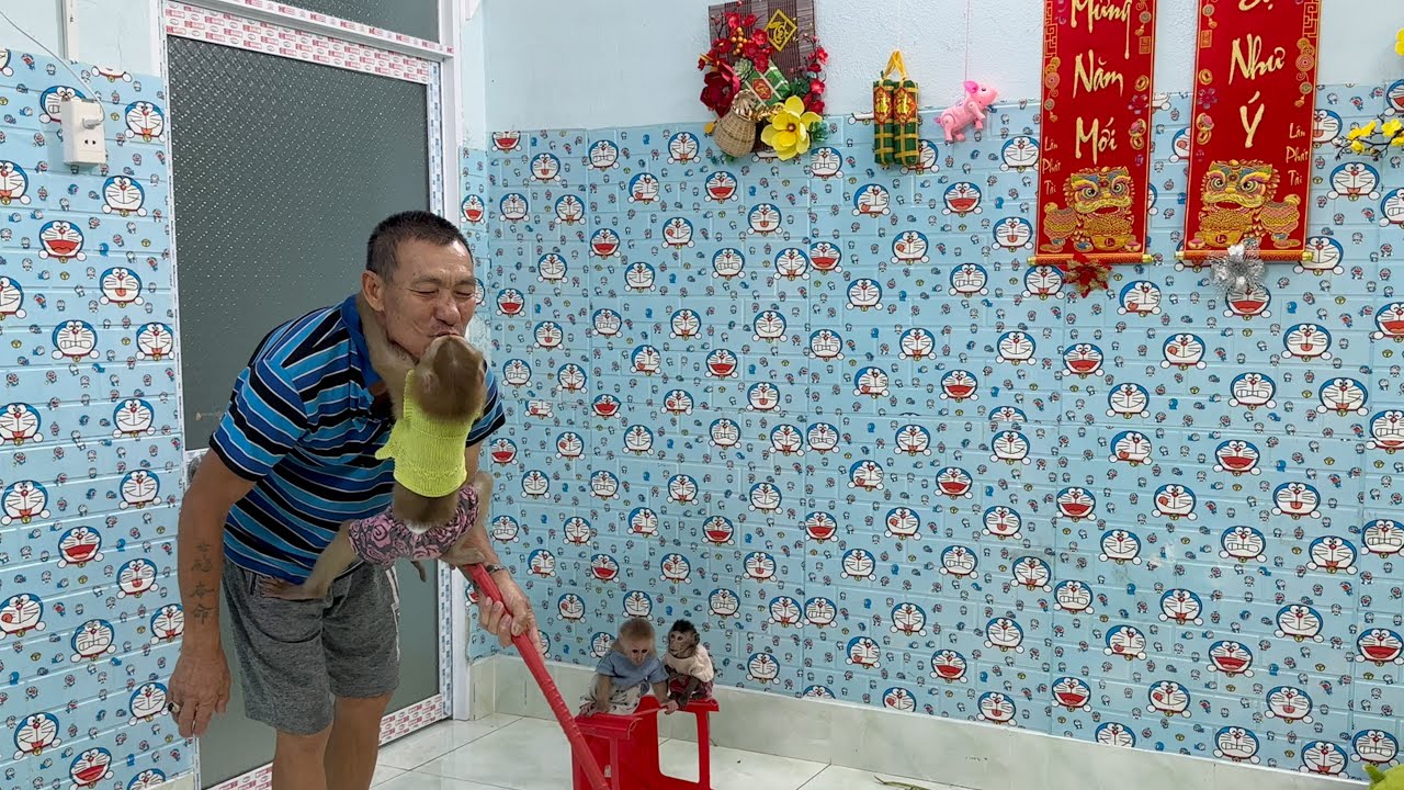 Monkey Sam wants to hug and kiss his grandfather while sweeping the ...