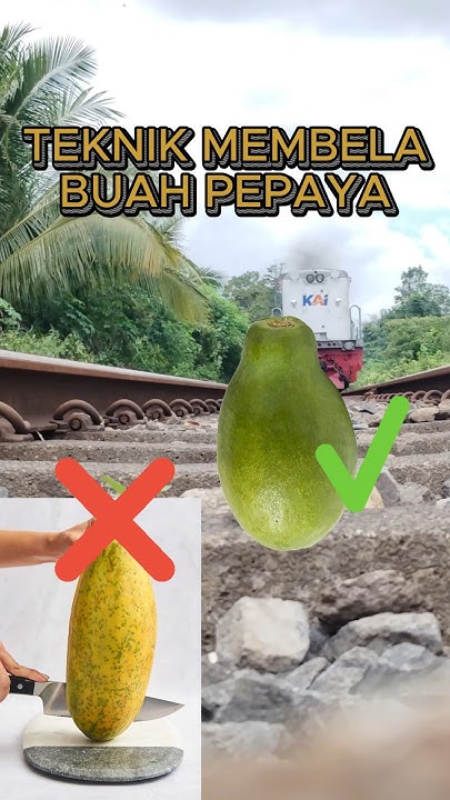 CARA MEMBELA BUAH PEPAYA VERSI KERETA API #shorts #keretaapi #viralvideo #pepaya - YouTube