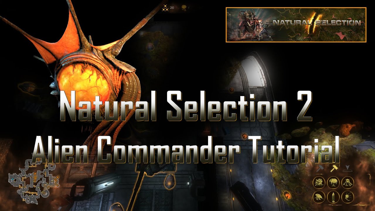 Natural Selection Game Aliens