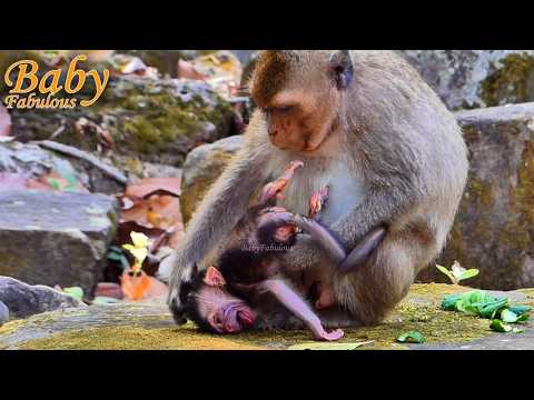 Th newborn baby. Young Amaya nott ready to be a real mother, Congratulations...! Baby Fabulous