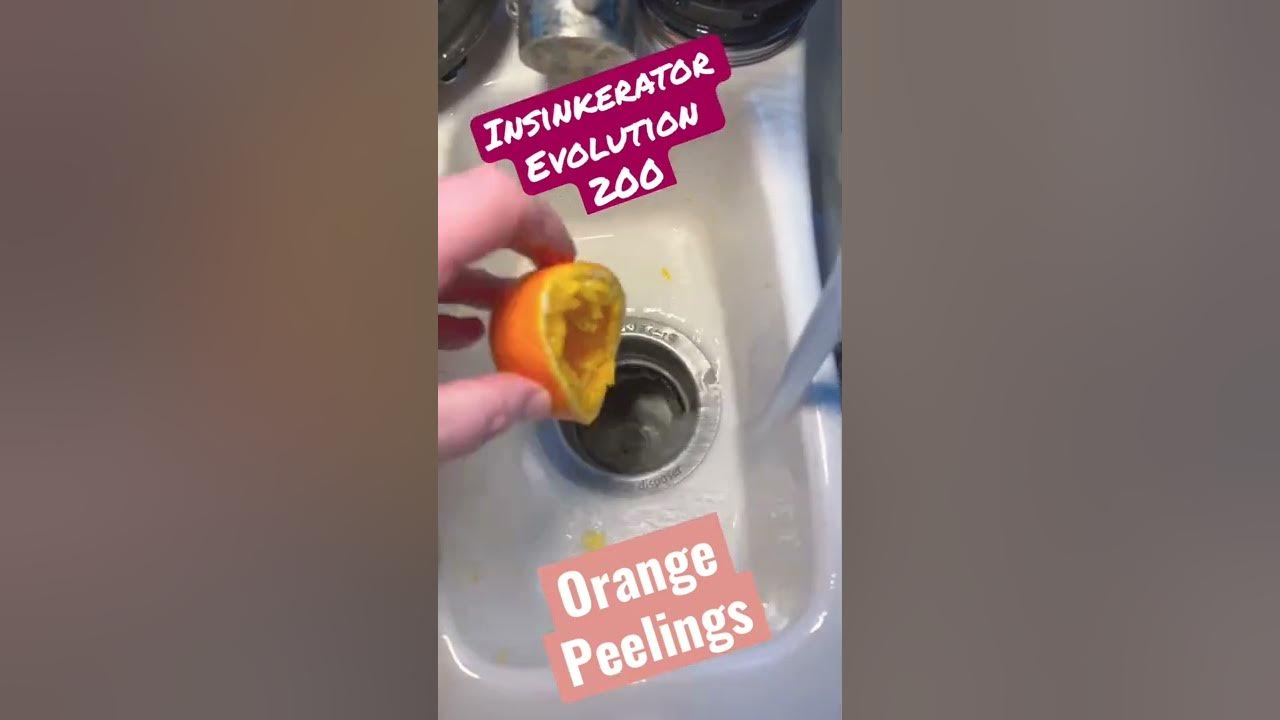 Insinkerator Evolution 200 Supreme Orange Peelings Shorts Youtube