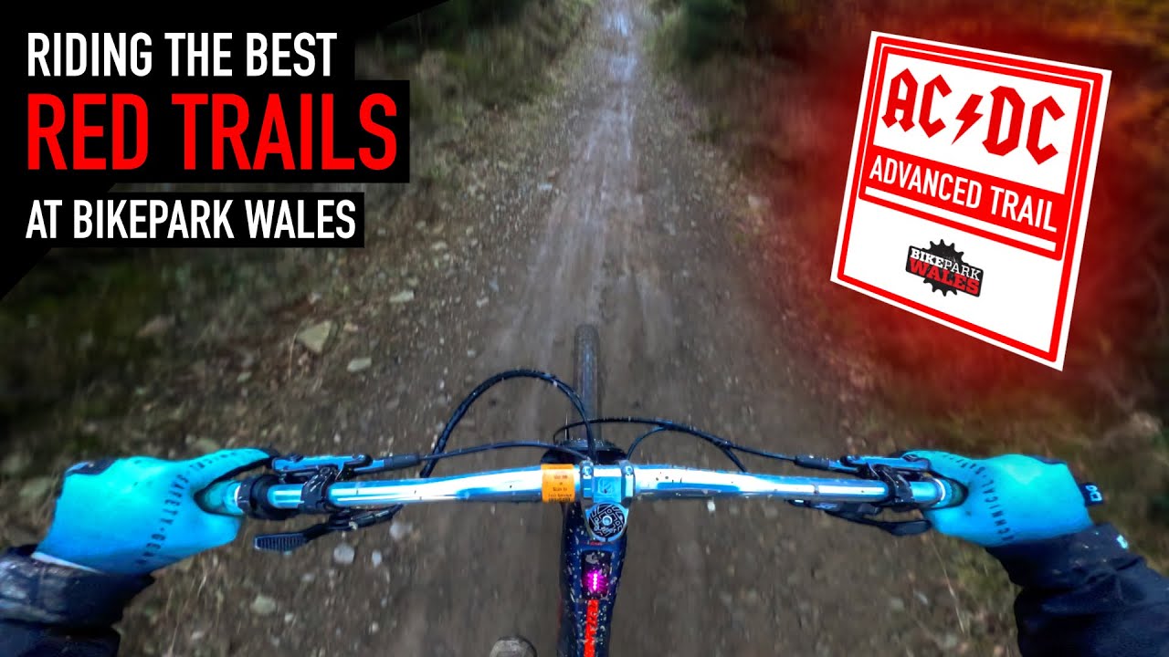 RIDING THE BEST RED TRAILS AT BIKEPARK WALES!! - YouTube