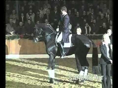 Sandro Hit - Elite Stallions - YouTube