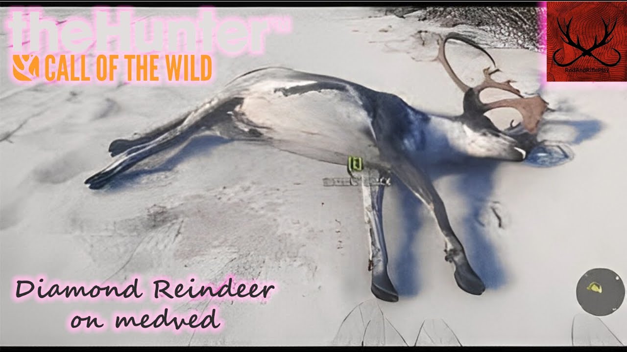 Diamond reindeer Medved #callofthewild #cotw #hunting - YouTube
