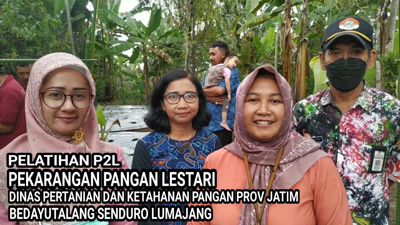 PELATIHAN PEKARANGAN PANGAN LESTARI P2L DPKP PROVINSI JATIM DI DESA ...