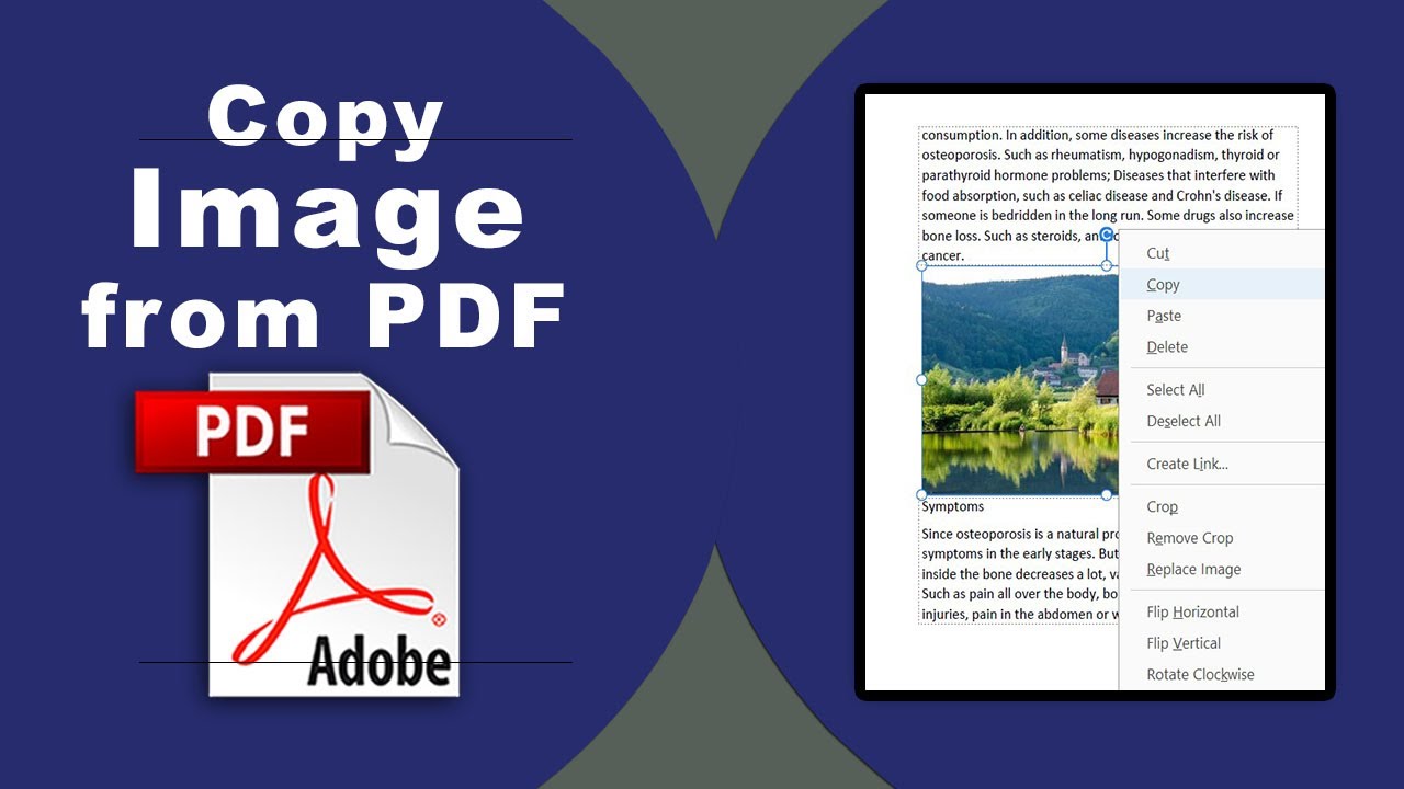 How To Copy Image From PDF Using Adobe Acrobat Pro DC YouTube how-to-copy-image-from-pdf-using-adobe-acrobat-pro-dc-youtube